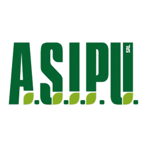 Opportunità di Lavoro nel Settore Pubblico: Concorso ASIPU Puglia