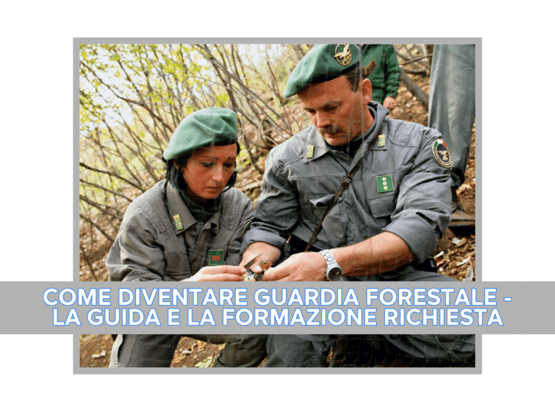 Guida su come diventare Guardia Forestale: ora Carabiniere