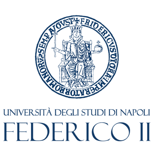 Concorso Università Federico II Napoli 2025 - 11 posti
